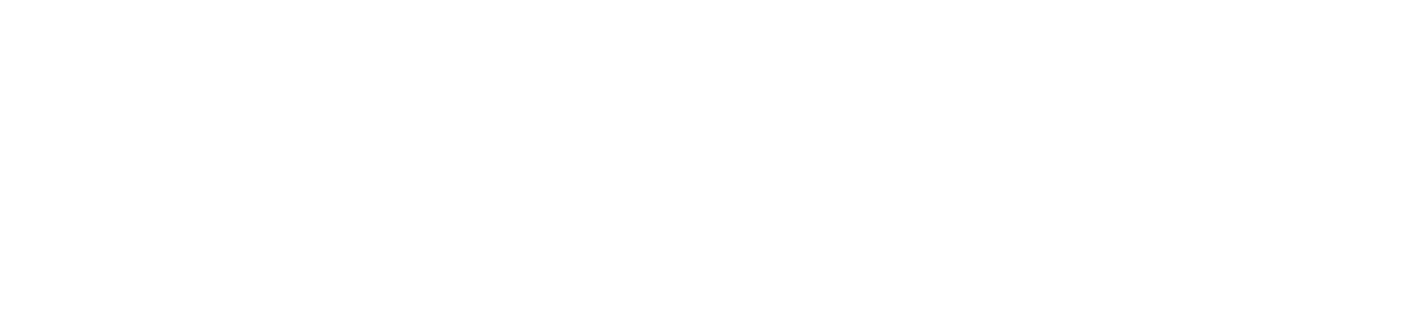 Homepage - Spangaro & Co