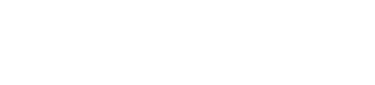 Homepage - Spangaro & Co