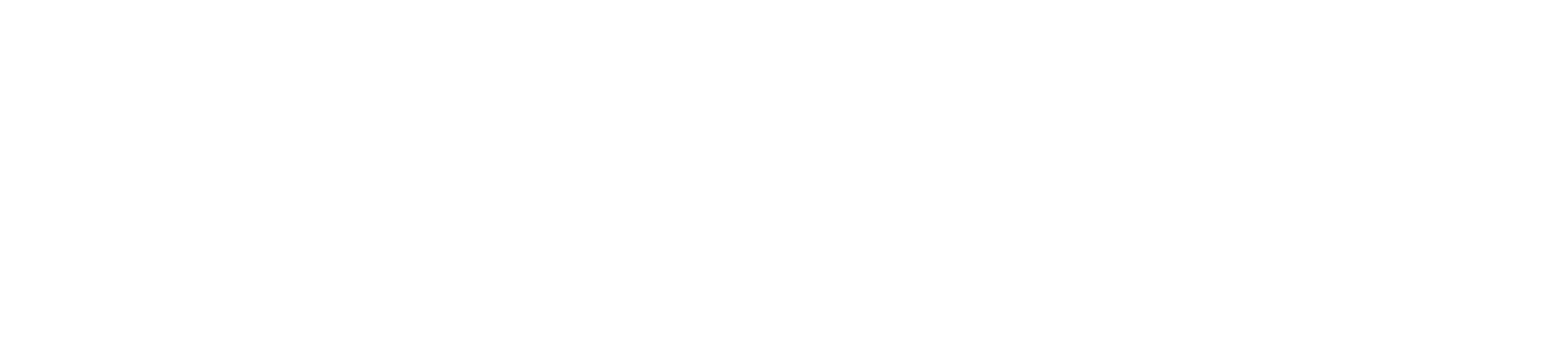 Homepage - Spangaro & Co